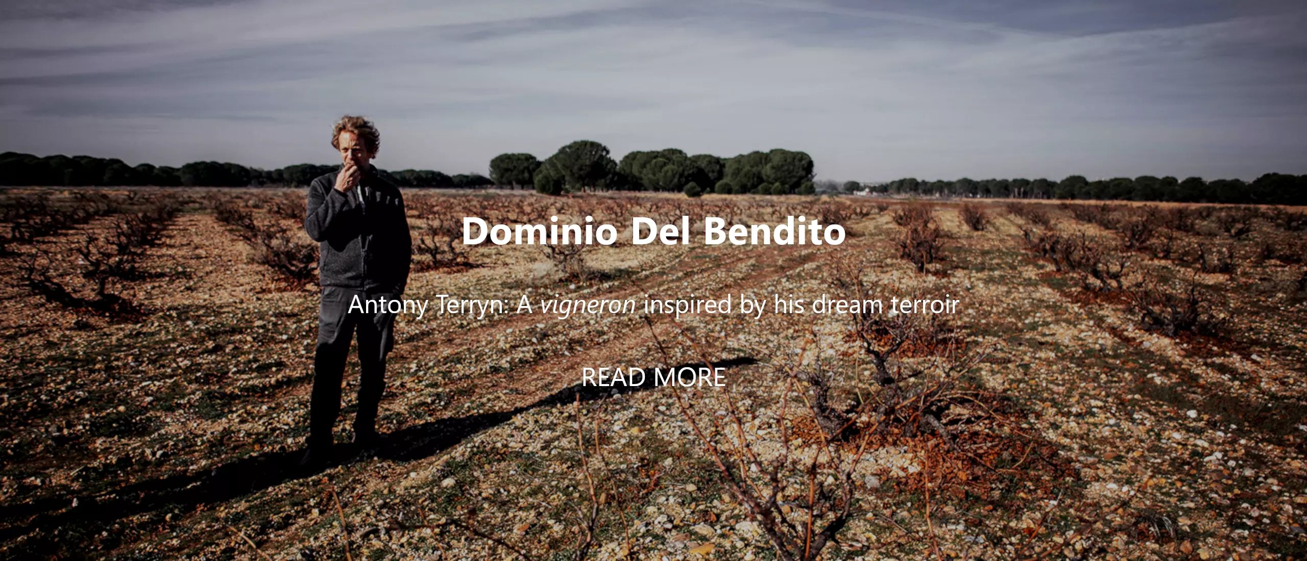 Raymond Reynolds - Single Estate & Fortified Wine Importer